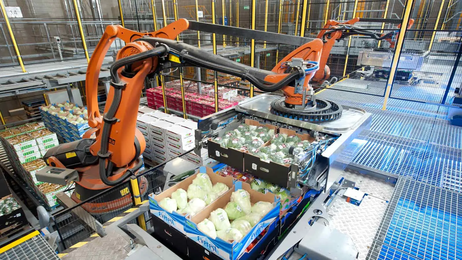 Automated Fruit & Vegetable Identification Model: Tutorial