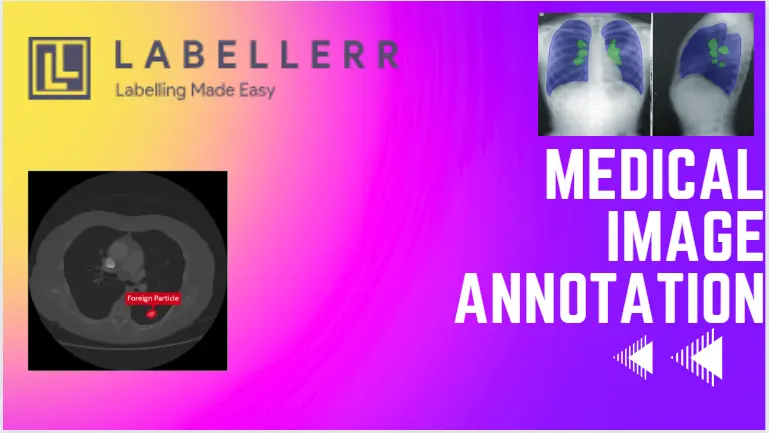 Speed Up Medical Imaging Annotation With Labellerr