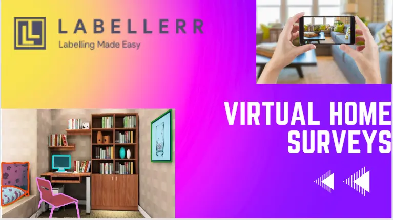 Generate Fast Annotations for Virtual Surveys Using SAM
