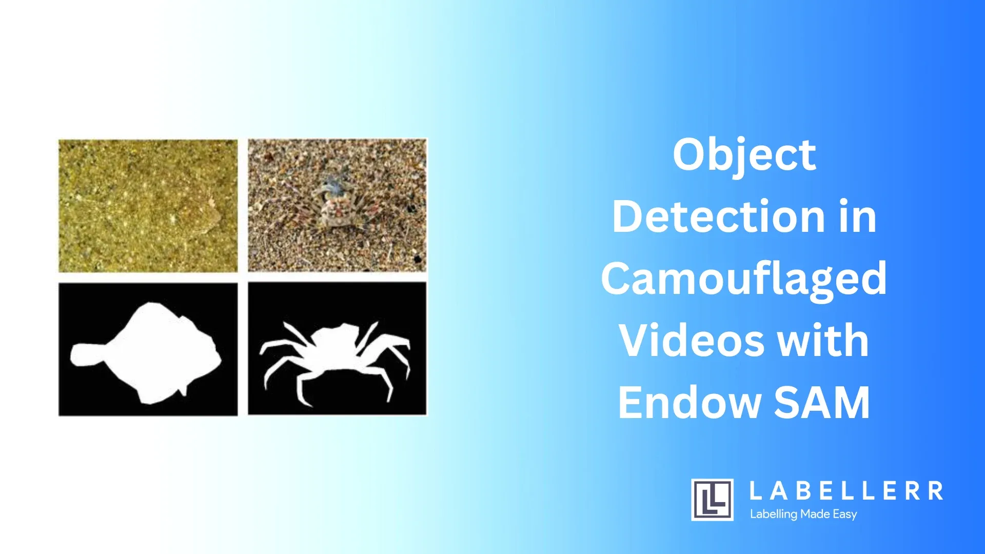 Object Detection In Camouflaged Videos With Endow Sam
