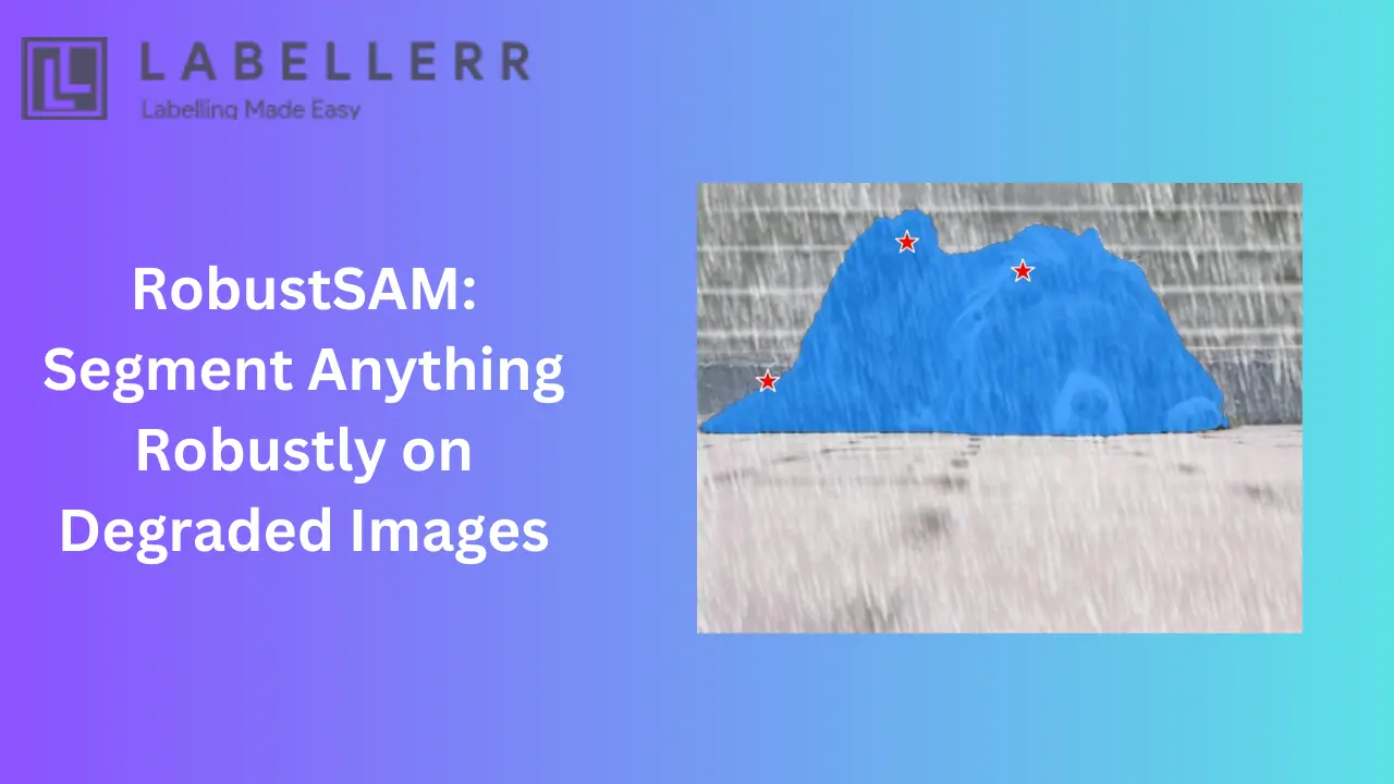 How RobustSAM Helps With Blurry/Degraded Image Segmentation