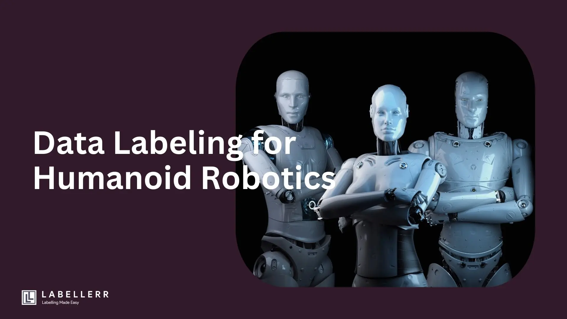 Data Labeling for Humanoid Robots