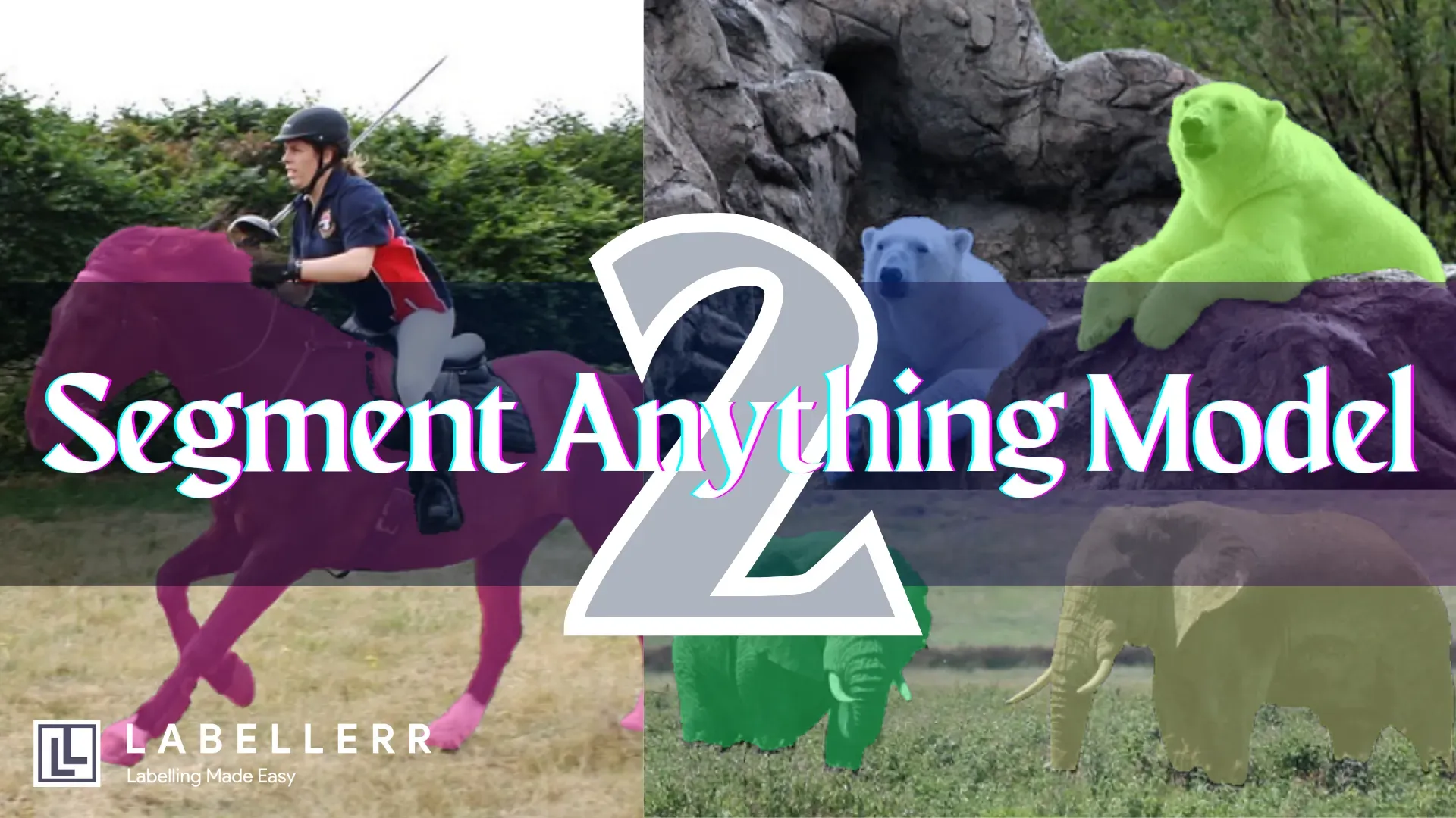 Learn SAM 2 in Minutes: The Ultimate Starter Guide for 2025